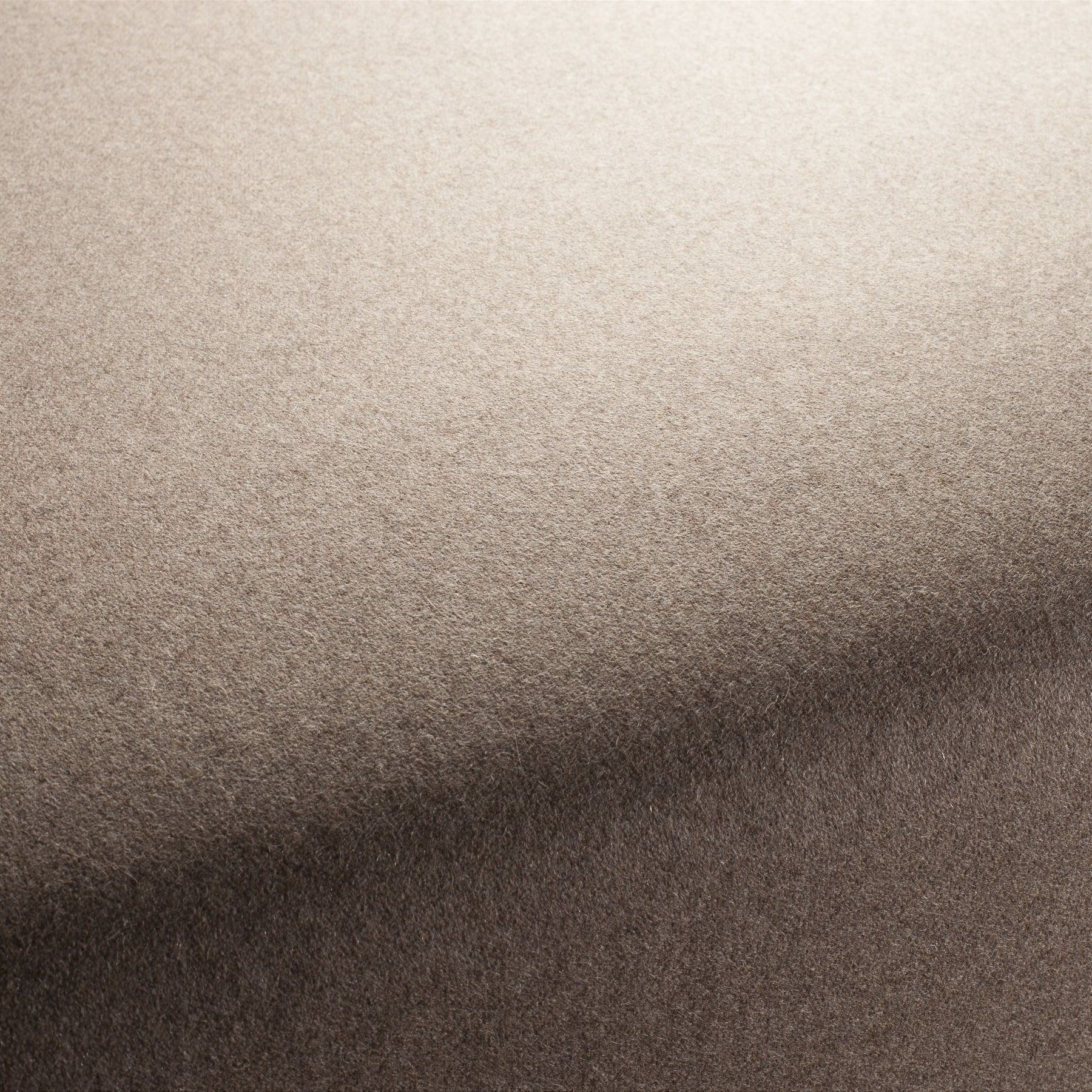 Upholstery fabric CAMERON 1-1286-021 | JAB ANSTOETZ Fabrics