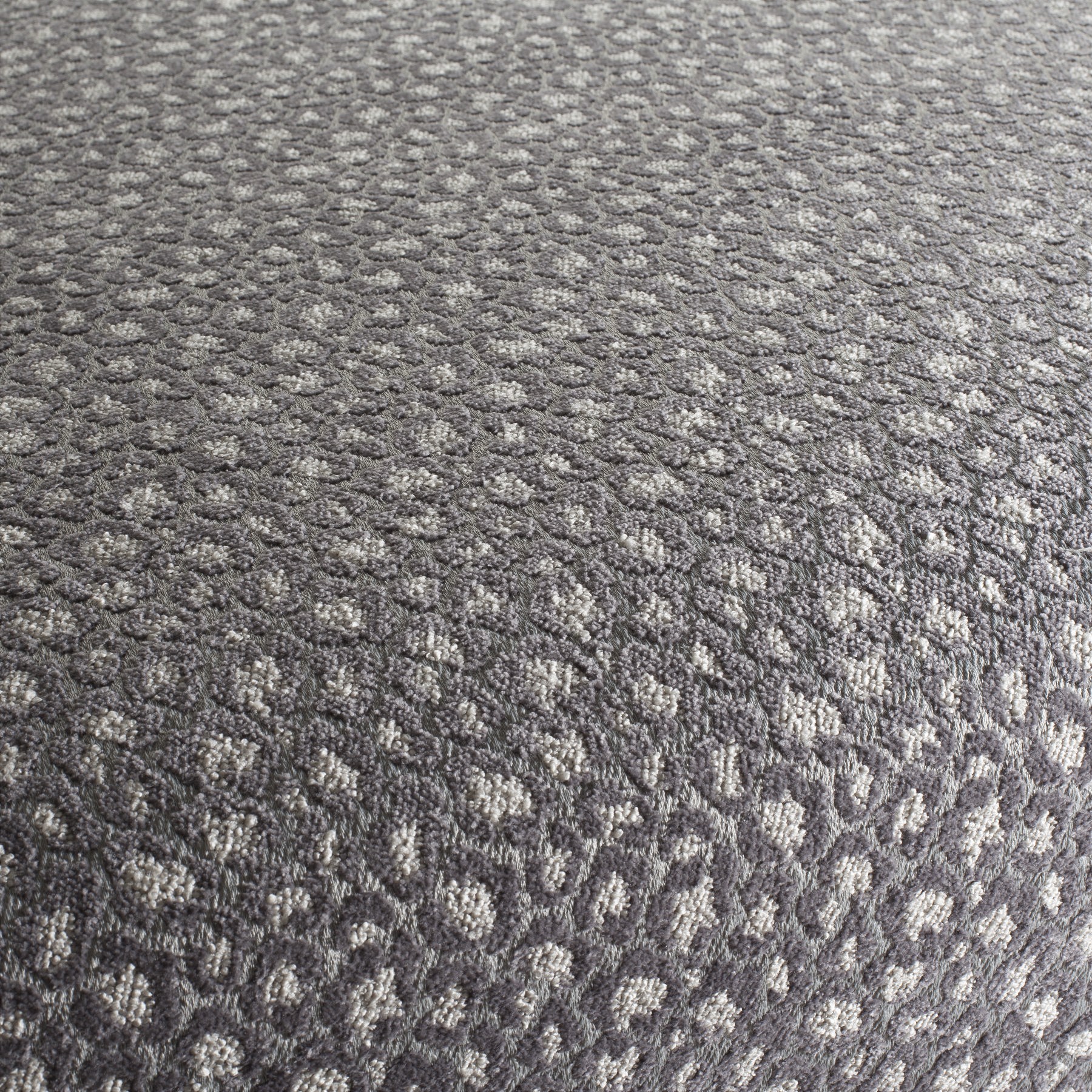 Upholstery fabric WILD HEART CH3228/092 | Chivasso