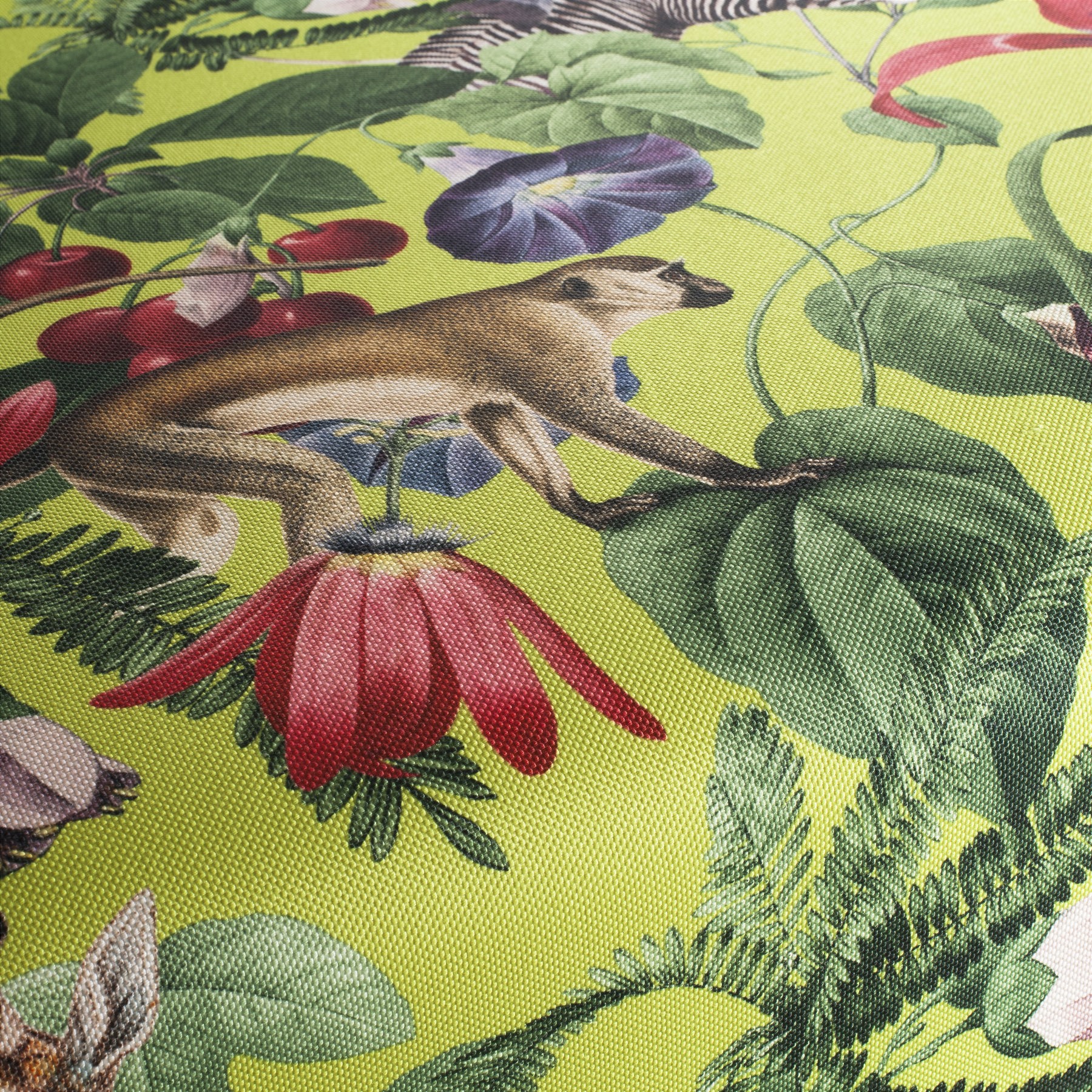 Upholstery fabric EXOTIC JA8000-030 | JAB ANSTOETZ Fabrics